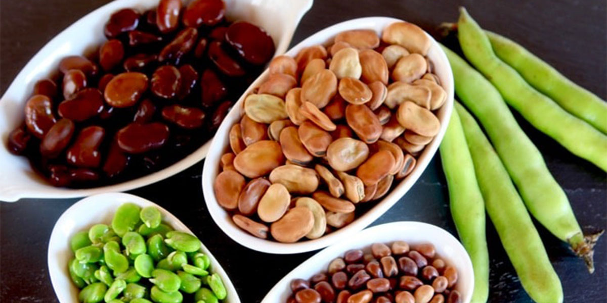 How to get rid of belly fat fast naturally; foods - KENYAN MOVES