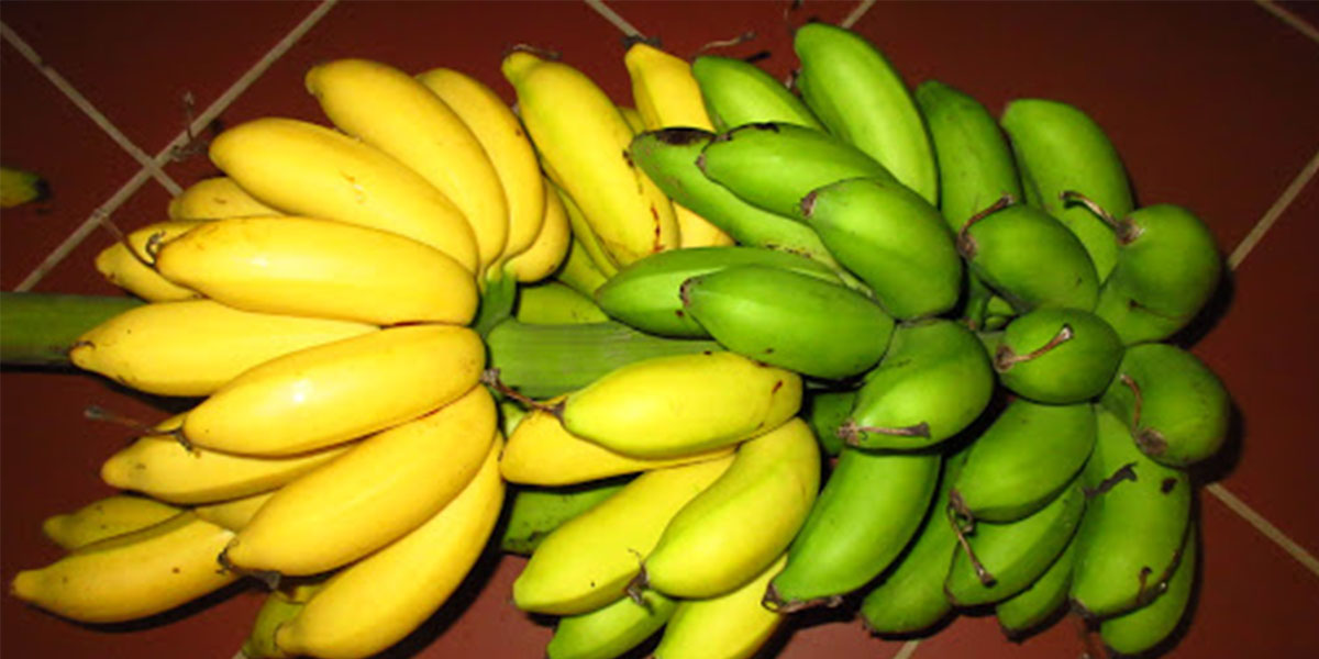18 different types of bananas you need to know - KENYAN MOVES