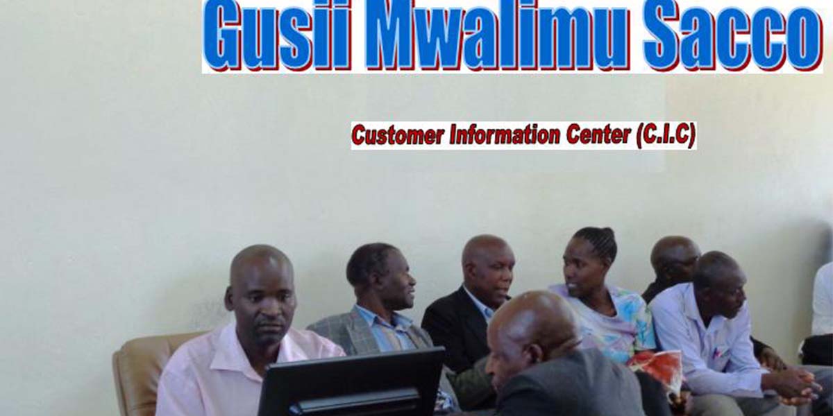 15+ best Saccos in Kenya with good saving plans and investments ...