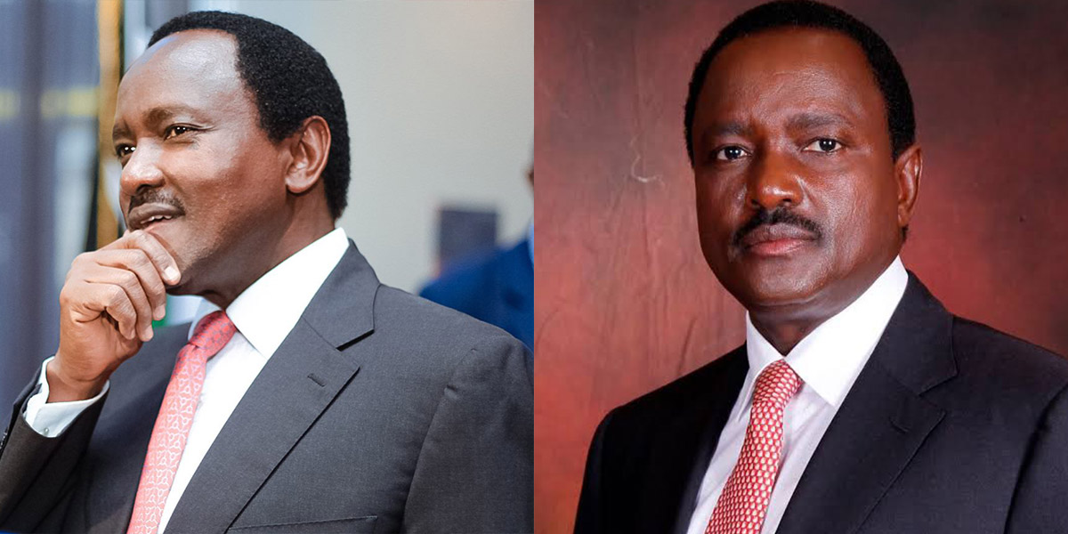 Kalonzo Musyoka Biography, age, tribe, education, career, wife ...